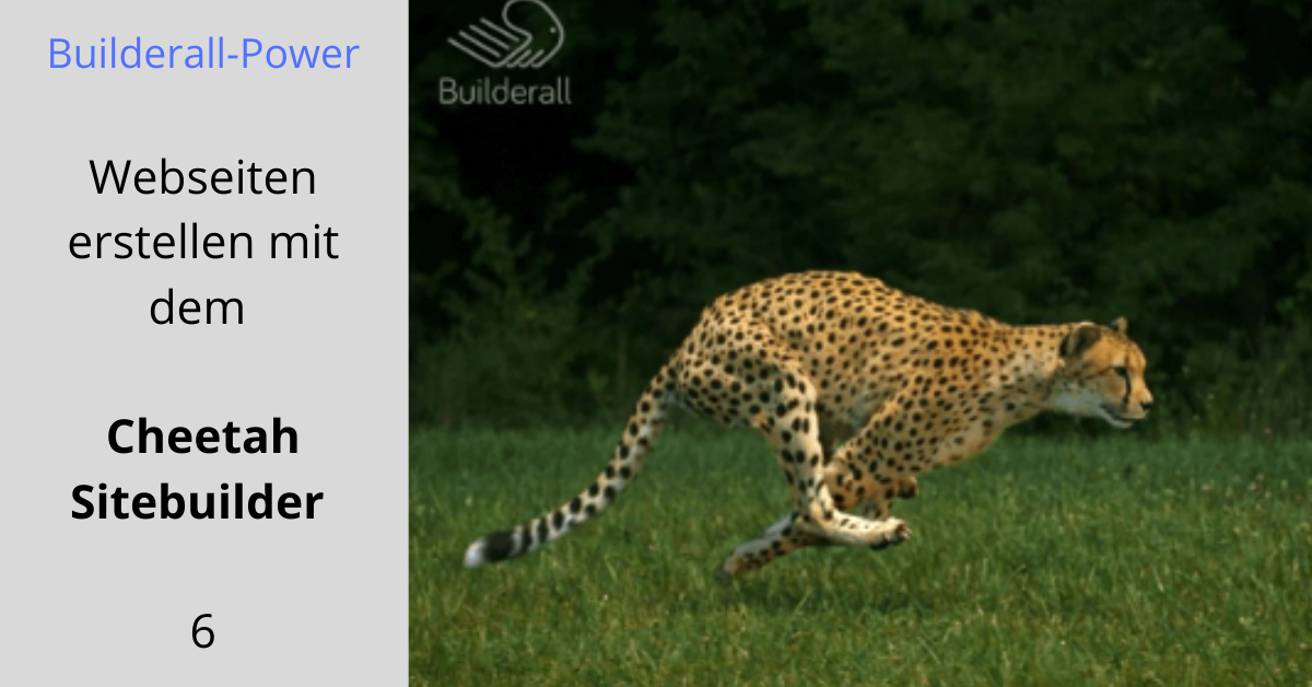 BUILDERALL | Cheetah-Einstieg: Boxen als Elementecontainer
